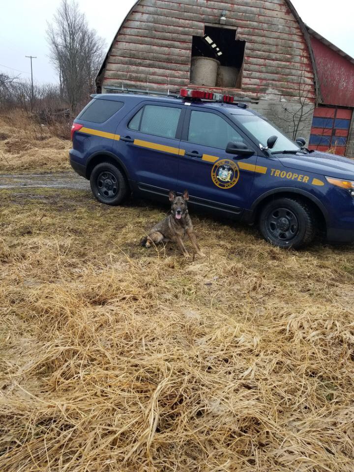 (11:30 AM) Ellery Home Is Subject Of Corrie Anderson Search; Nothing ...